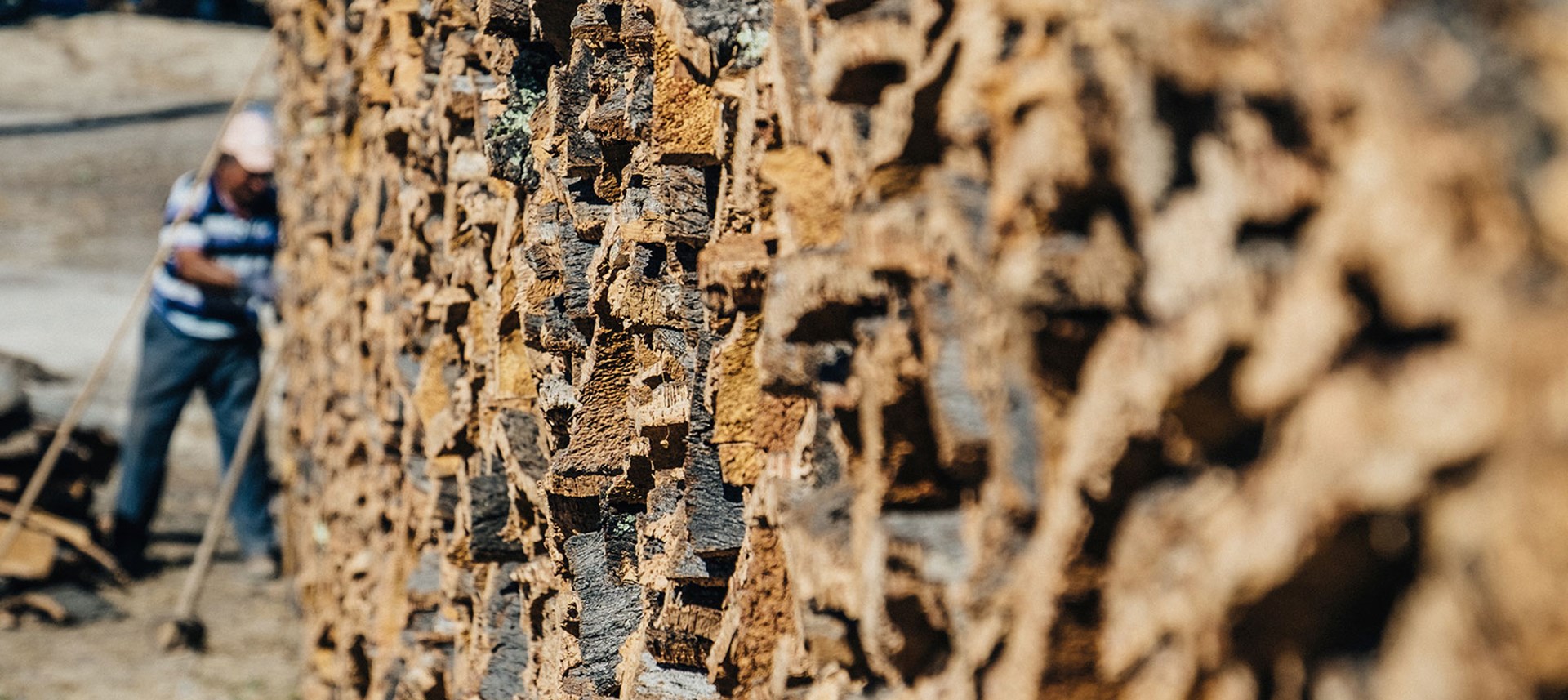 What is Cork | Why Cork > Amorim Sports | Performance Cork Solution for ...